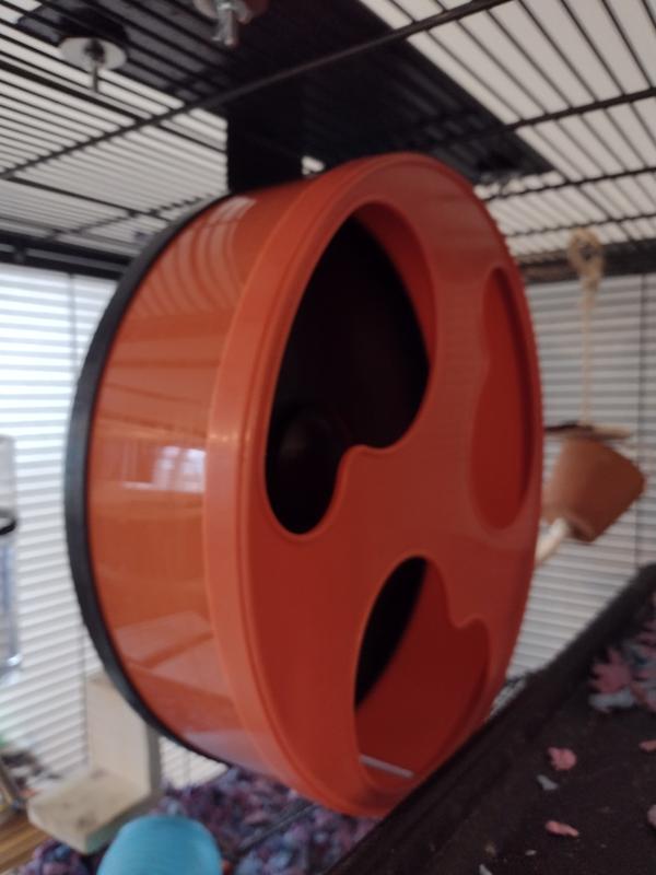 EXOTIC NUTRITION Silent Runner Small Animal Exercise Wheel, Orange ...