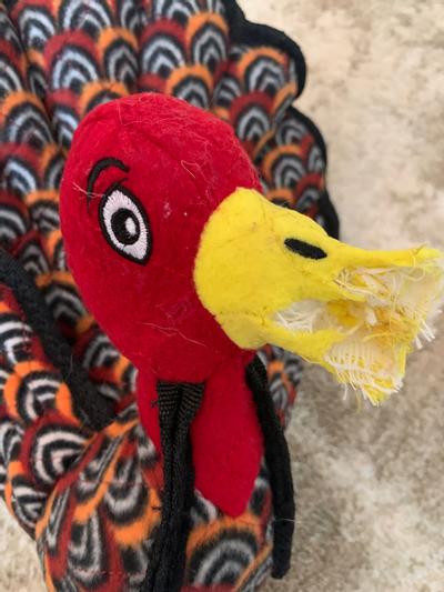 TUFFY'S Barnyard Turkey Squeaky Plush Dog Toy - Chewy.com