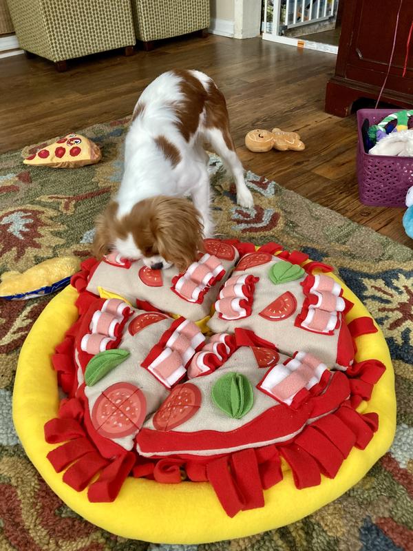 FRISCO Pizza Snuffle Mat, Yellow, Medium - Chewy.com