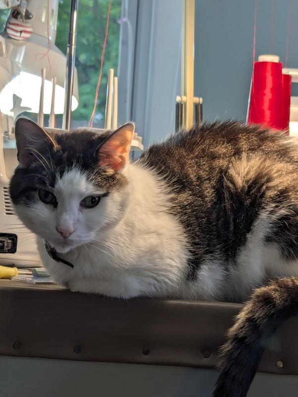 MIRATAZ (mirtazapine transdermal ointment) for Cats, 5-g tube, 2 count ...