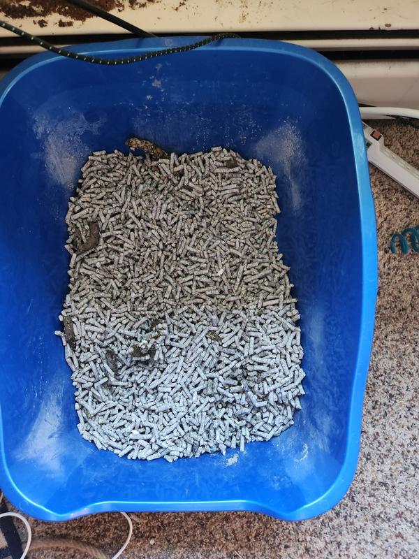 FRISCO Fresh Scented Non-Clumping Recycled Paper Cat Litter, 25-lb bag ...