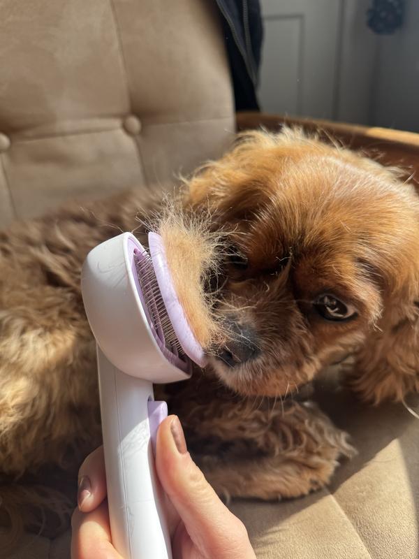 AUMUCA Self Cleaning Slicker Brush, Brown - Chewy.com