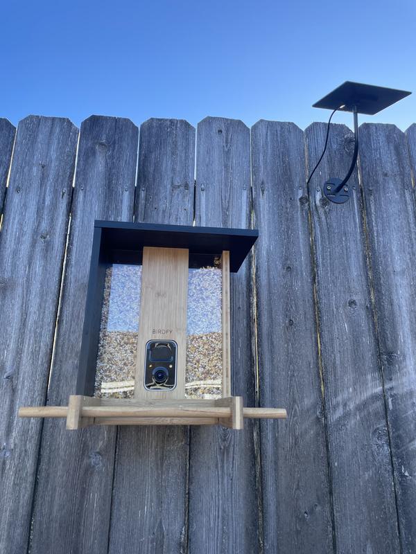 BIRDFY Bamboo Smart Bird Feeder with Camera Solar Powered Motion ...