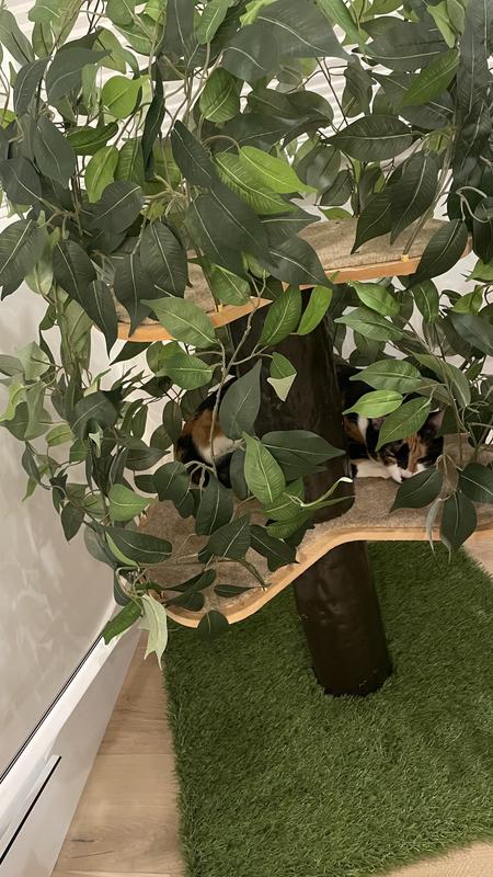 ON2PETS 48-in Medium Square Modern Cat Tree - Chewy.com