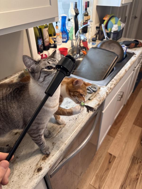 PLAYOLOGY Motorized Hummingbird/Butterfly Teaser-Wands Cat Toy ...