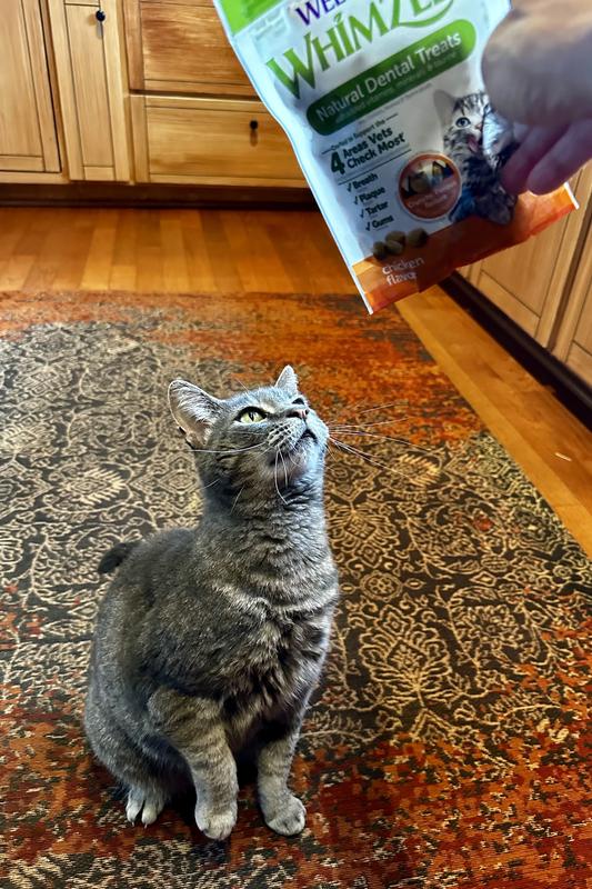 WHIMZEES by Wellness Natural Chicken Dental Cat Treats, 2-oz bag ...