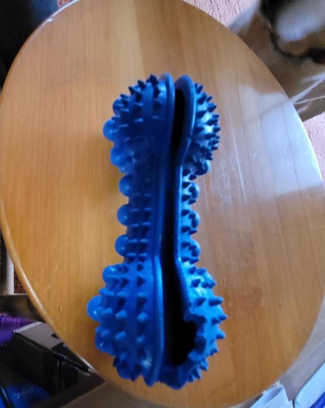 Temporarily Unavailable - PET LIFE 'Denta-Bone' TPR Treat Dispensing & Dental Cleaning Durable ...