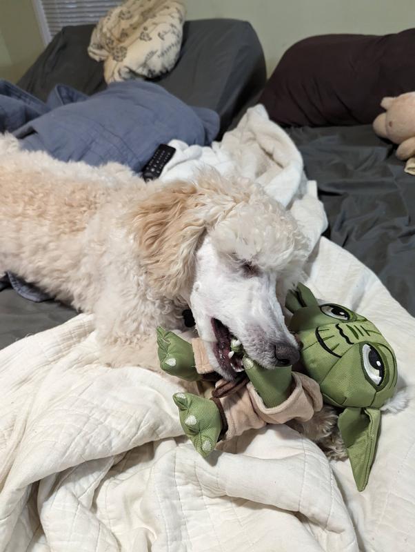 STAR WARS YODA Ballistic Nylon Plush Squeaky Dog Toy - Chewy.com