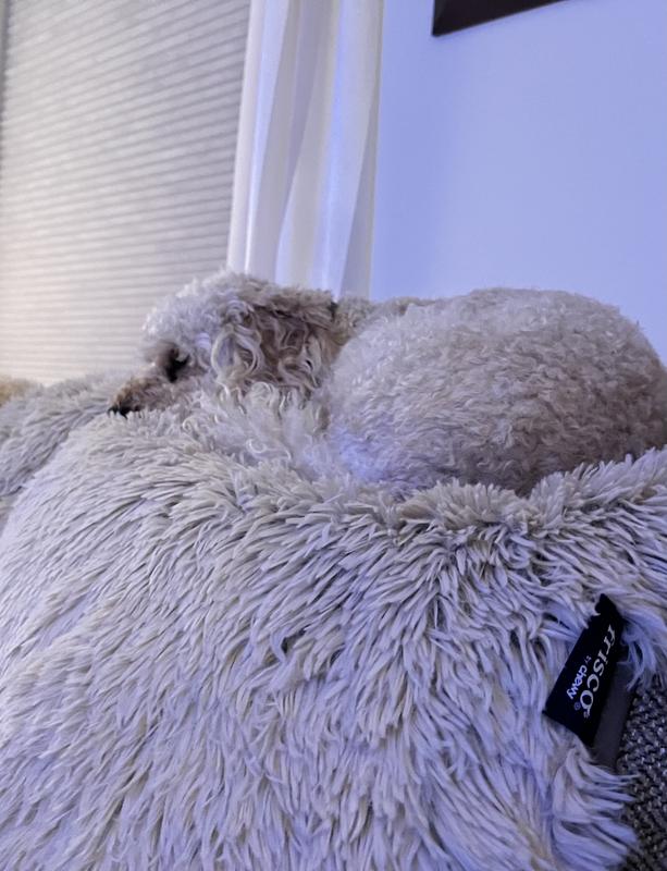 FRISCO Long Faux Fur Cat & Dog Throw Blanket, Silver, Large - Chewy.com