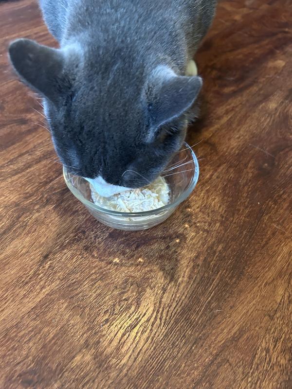 WELLNESS Appetizing Entrees Chicken & Salmon Natural Grain-Free ...