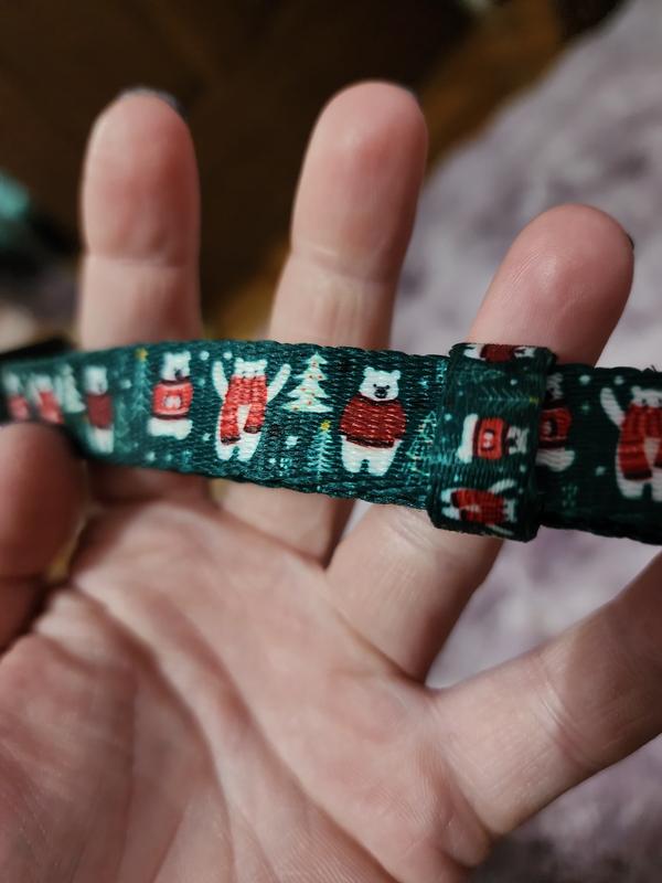 FRISCO Holiday Polar Bears Print Polyester Dog Collar, X-Small - Chewy.com