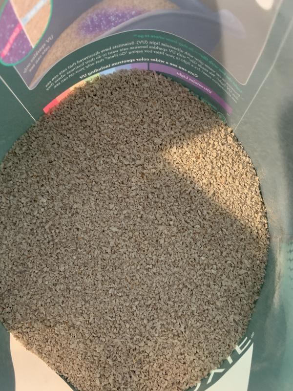 BOXIECAT Glo Corn Clumping Cat & Kitty Litter, 16.5-lb bag - Chewy.com