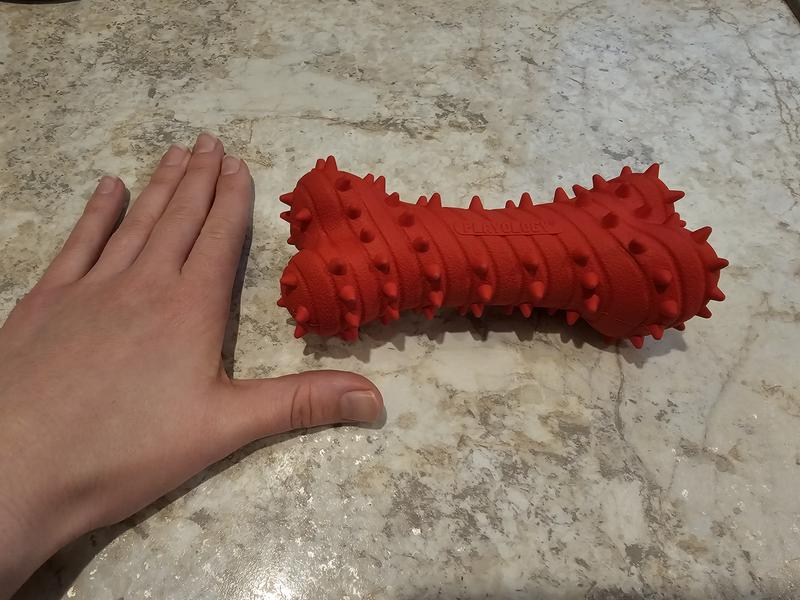 PLAYOLOGY Beef Scented Young & Active Teething Bone Dog Toy, Jumbo ...