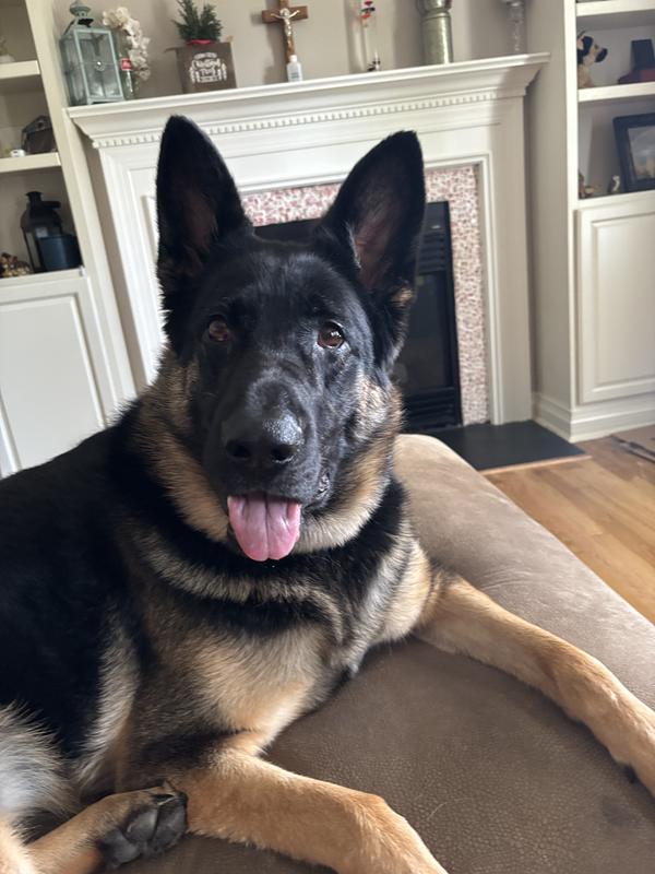 NEO-POLY-DEX (Generic) Ophthalmic Suspension, 5-mL - Easy Refills ...