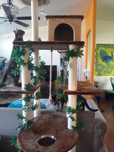 GO PET CLUB 85-in Forest with Leaves Cat Tree, Beige/ Brown - Chewy.com