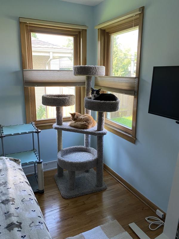 Discontinued - FRISCO 65-in Real Carpet Scratch and Lounge Cat Tree ...