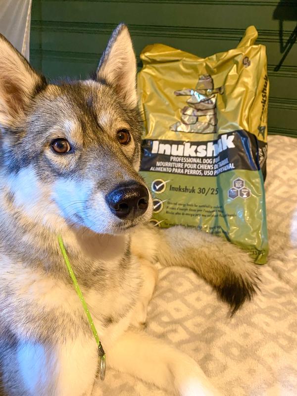 INUKSHUK Professional Dry Dog Food 30/25, 33-lb bag - Chewy.com
