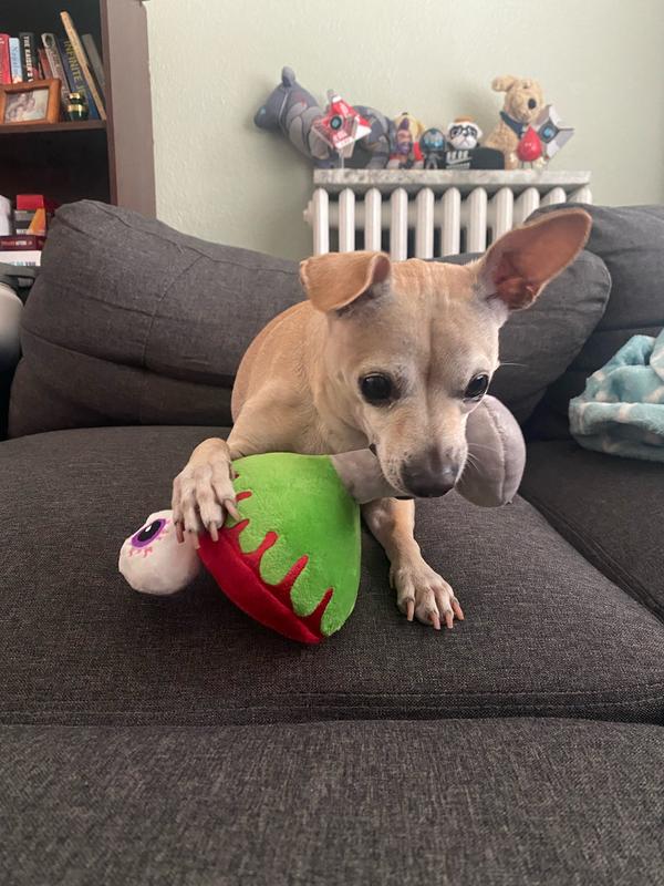 FRISCO Halloween Cocktail Plush Squeaky Dog Toy, Medium, 2 count ...