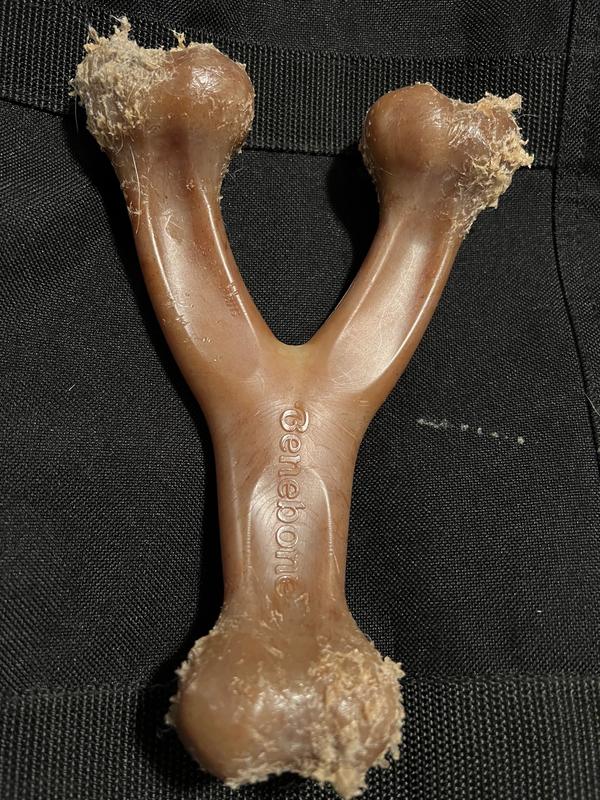 BENEBONE Bacon Flavor Wishbone Tough Dog Chew Toy, Medium - Chewy.com