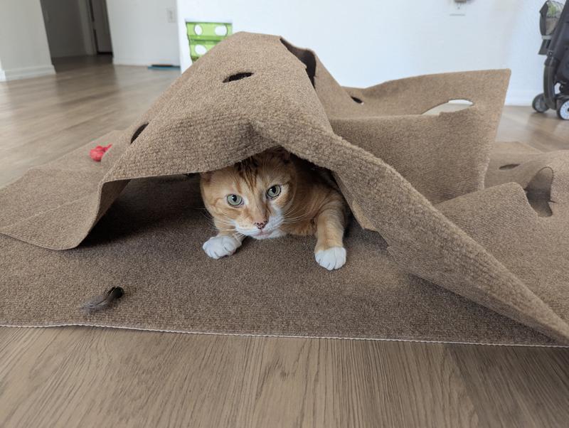 SNUGGLYCAT Ripple Rug Cat Activity Play Mat, Beige - Chewy.com