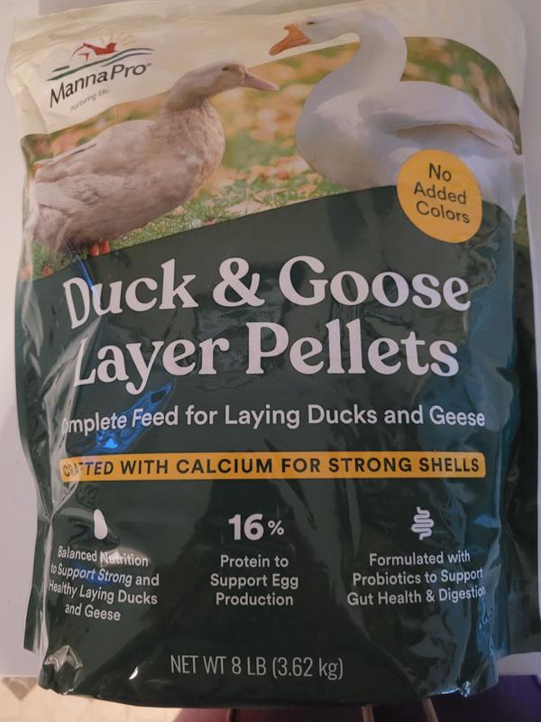 MANNA PRO Duck Layer Pellets Duck Food, 25-lb bag - Chewy.com