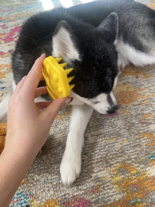 BAILEY CAT CO. The Bailey Brush Dog Brush, Pawmelo Yellow - Chewy.com