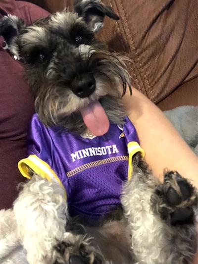 Product Reviews for HARTZ Pet Defender Plus Flea Treatment for Dogs 5 ...