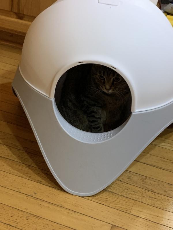 ZEZE Space Capsule Cat Litter Box - Chewy.com
