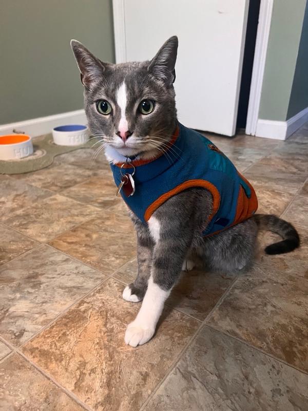 FRISCO Light Weight Utility Colorblock Fleece Dog & Cat Vest, Small ...