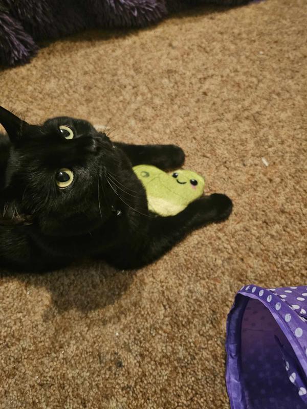 CATSTAGES Wiggle Worm Electronic Flopping Cat Toy, Green - Chewy.com