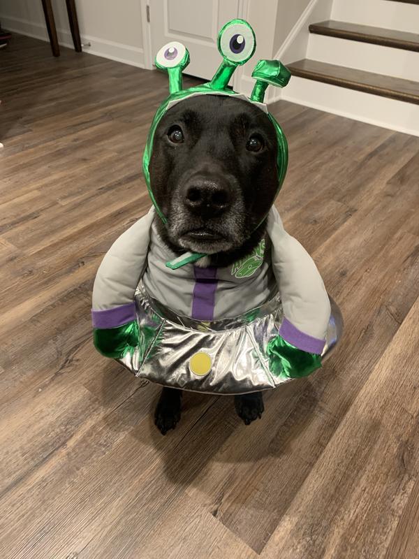 FRISCO Front Walking Alien Dog & Cat Costume, XX-Large - Chewy.com