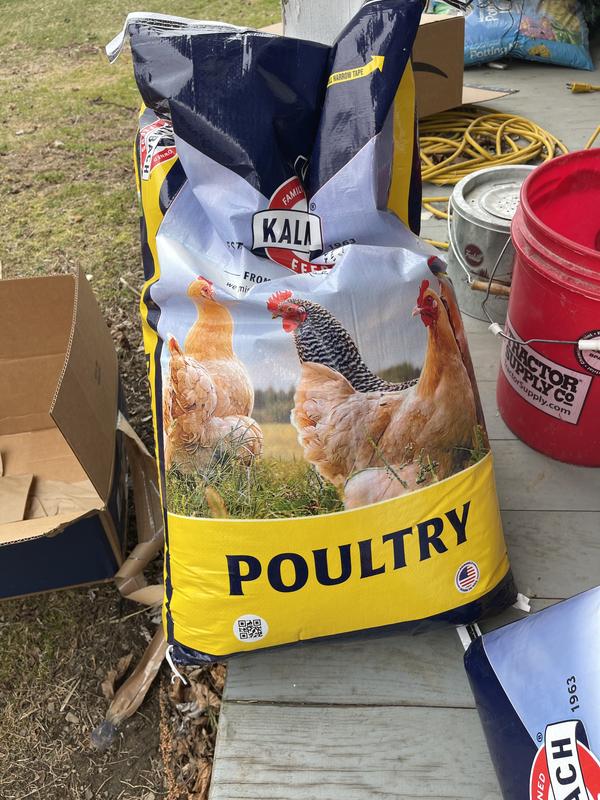 KALMBACH FEEDS All Natural 16% Protein Flock Maintainer Pellet Poultry ...