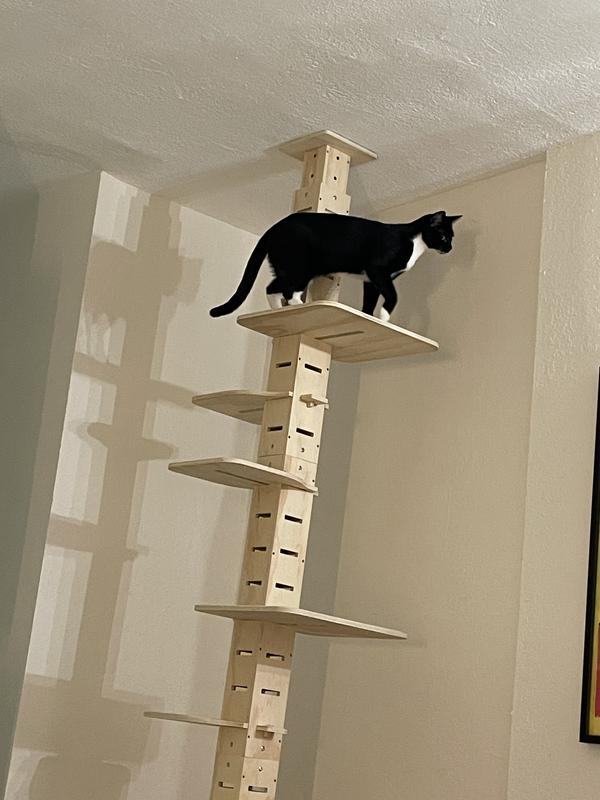 COZIWOW Floor to Ceiling Adjustable Height Cat Tree Tower, 98-114in ...