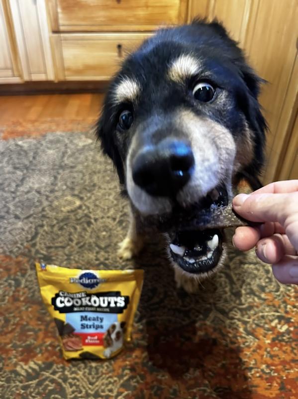 Discontinued - PEDIGREE Canine Cookout Beef Flavored High-Protein Adult ...