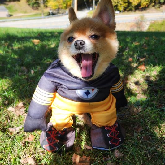 Discontinued - MODERN HERO NFL Running Dog Costume, Philadelphia Eagles ...