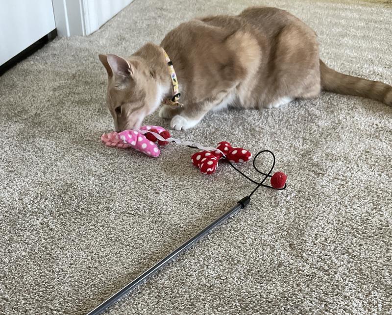 DISNEY Minnie Mouse Bows Teaser Cat Toy with Catnip - Chewy.com