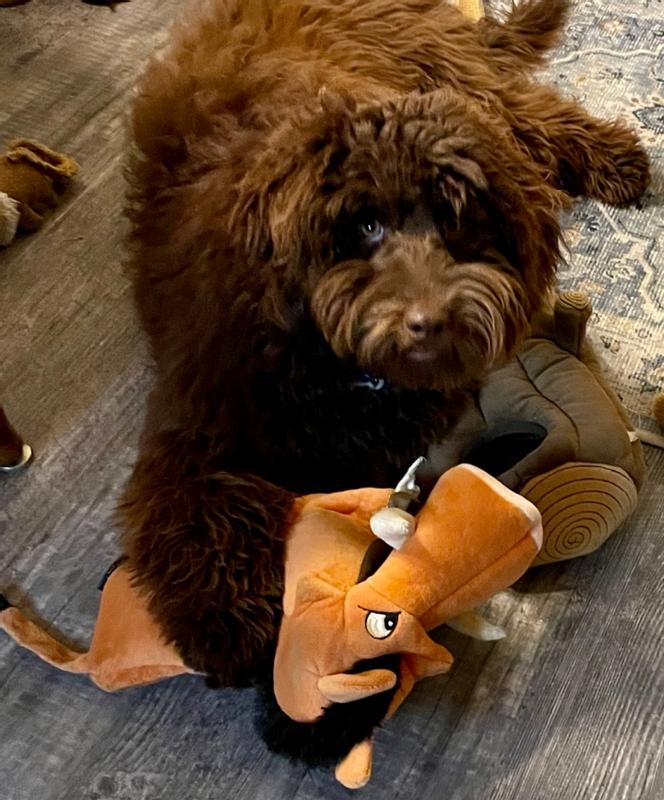 DISNEY Pumbaa Hide & Seek Puzzle Plush Squeaky Dog Toy - Chewy.com