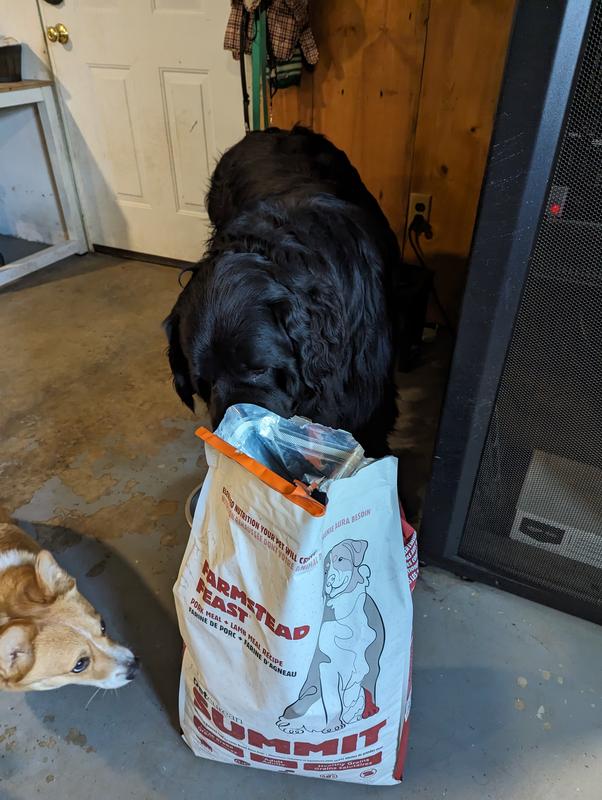 PETCUREAN SUMMIT Farmstead Feast Large Breed Adult Dry Dog Food, 25-lb ...