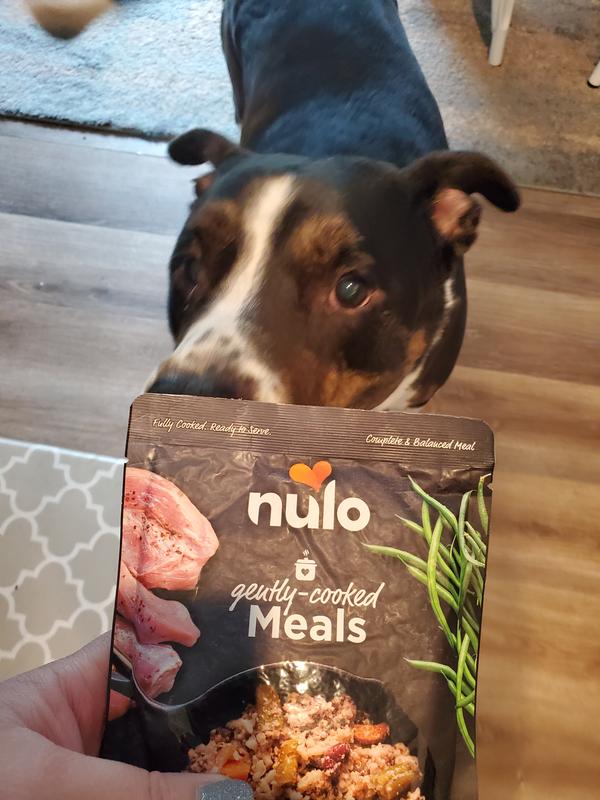 Discontinued - NULO Gently-Cooked Meals Turkey & Green Beans Recipe Wet ...