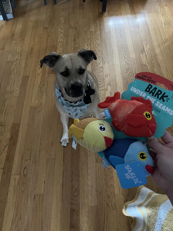 Out of Stock - BARK The Groupers 3-in-1 Squeaky Plush Dog Toy - Chewy.com
