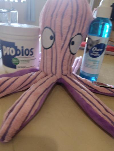 OSTER Fresh Snuggles Dog Freshening Spray, Baby Powder, 6-oz bottle ...