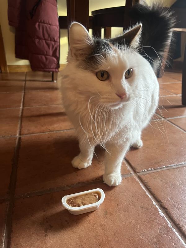 Product Reviews for SHEBA Grilled in Sauce Marinated Chicken Adult Cat ...