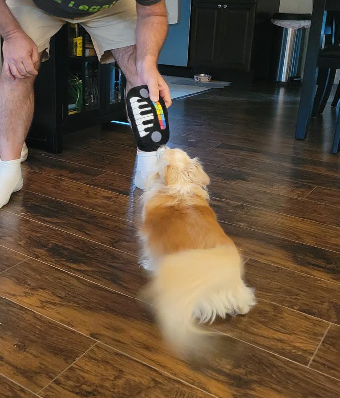 BARK Wonder Keyboard Squeaky Plush Dog Chew Toy, Small/Medium - Chewy.com