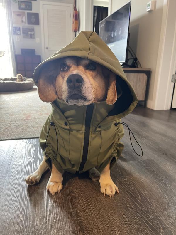 FRISCO Bonded Wind & Water Resistant Dog & Cat Coat With Removable Hood ...