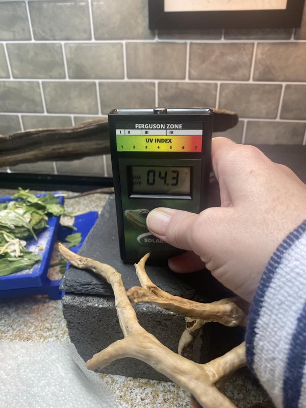 SOLARMETER Model 6.5R UV Index Meter Reptile Accessory, Green - Chewy.com