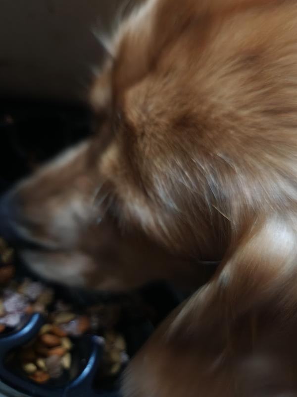 PURINA BENEFUL Infused Pate With Real Chicken, Carrots & Spinach Wet ...