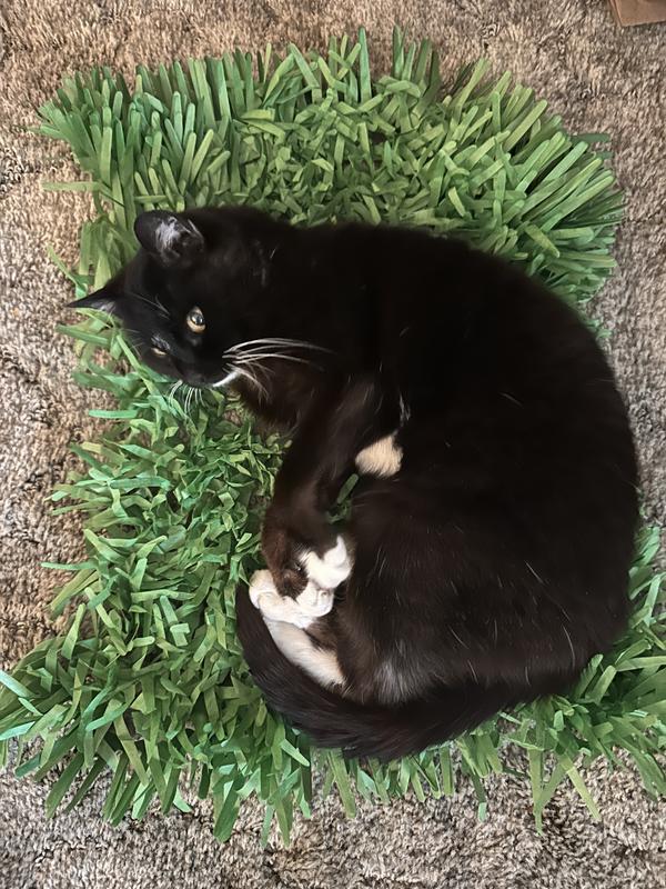 SMARTYKAT Instincts Meadow Mayhem Paper Grass Hide & Seek Cat Toy, 2 ...