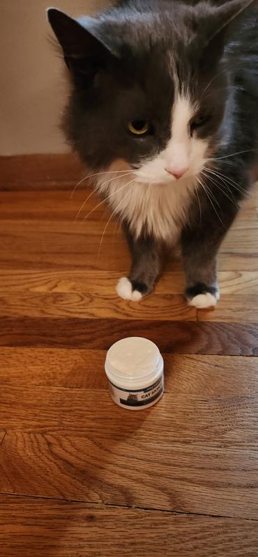 RESQ ORGANICS Cat Skin Care Balm, 8-fl oz jar - Chewy.com