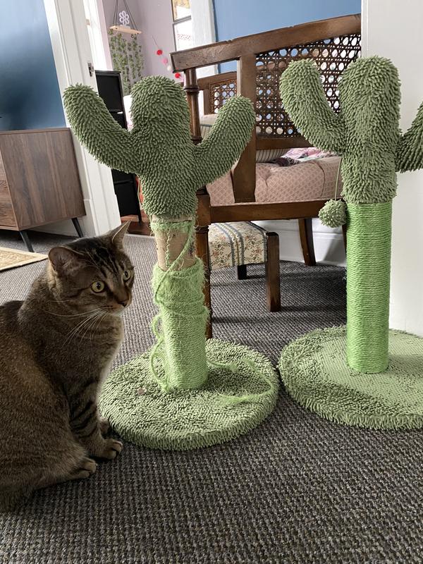 FRISCO Cactus Cat Scratching Post, 31-in - Chewy.com