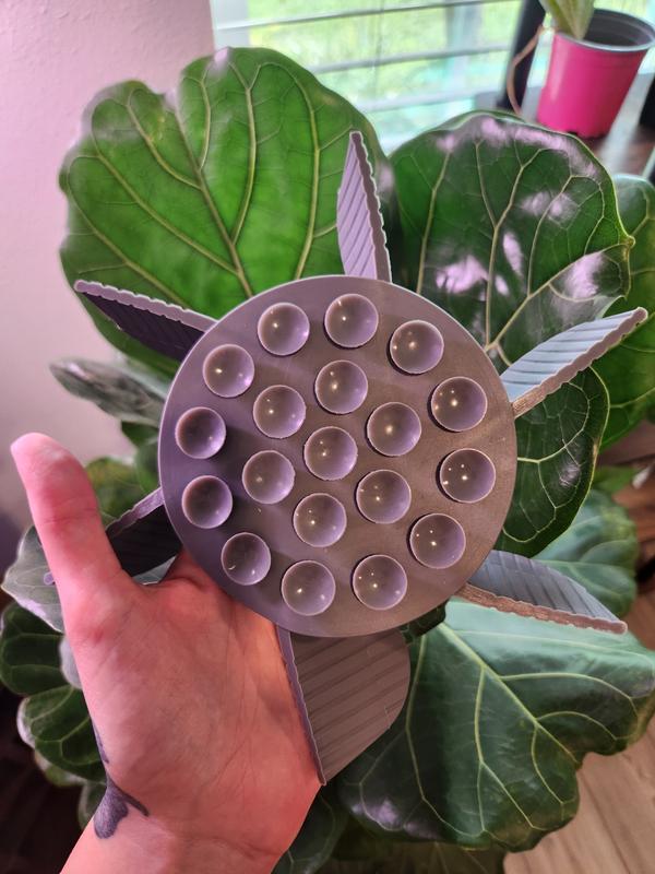 FRISCO Slow Feeder Insert - Chewy.com